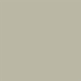 Sanderson Paint | Chateau Grey