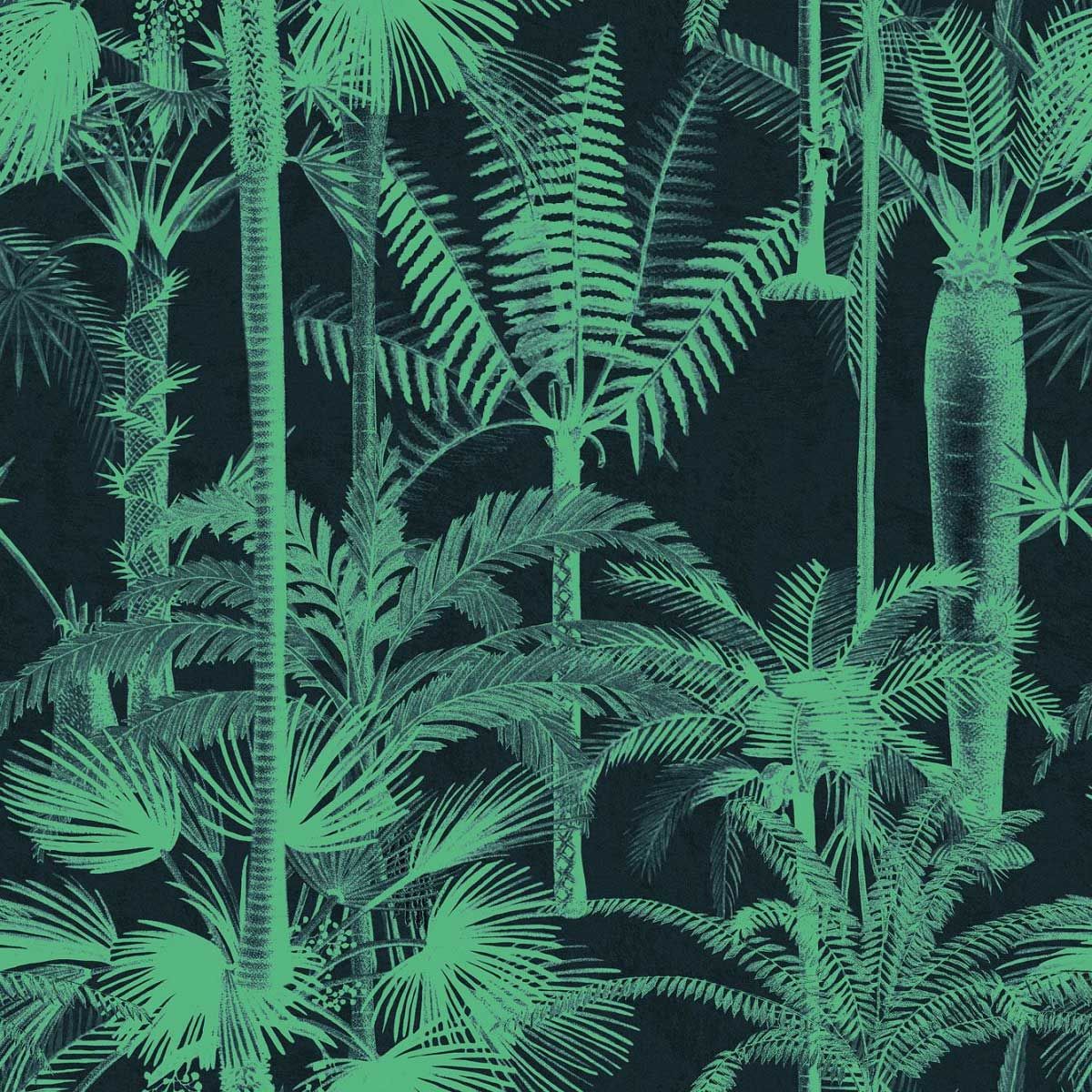 Palmera Cubana Dark Palm Wallpaper | MINDTHEGAP