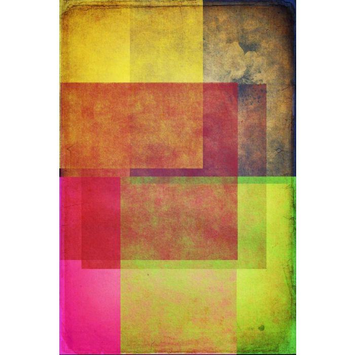 Screen Wall Panel | Rebel Walls | Colourful Design at F&P Interiors